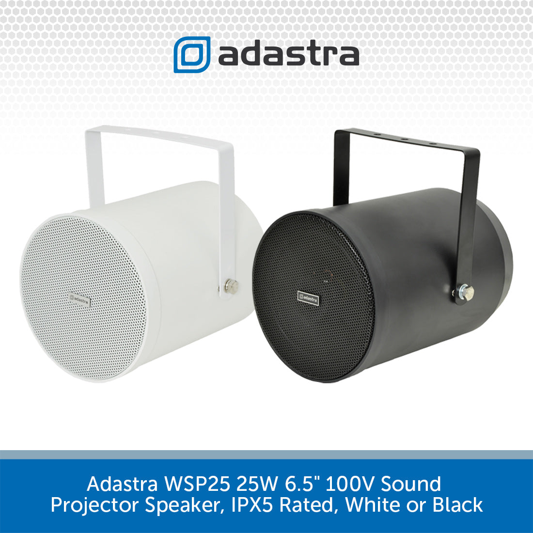 Adastra WSP25 25W 6.5" 100V Sound Projector Speaker | Audio Volt