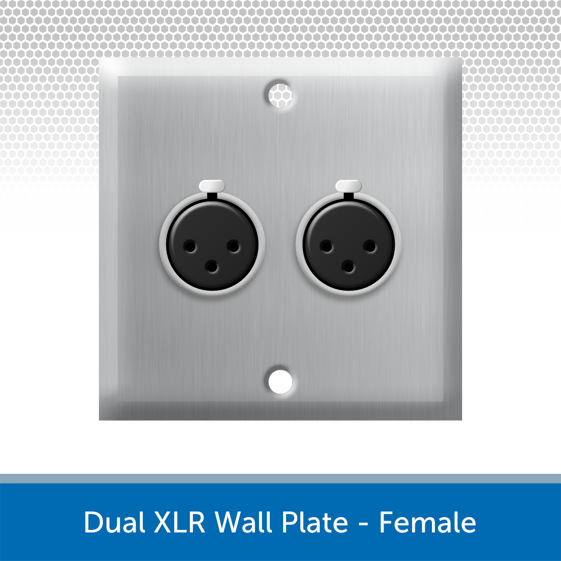 Dual XLR Wall Plate, 1 Gang - Female | Audio Volt