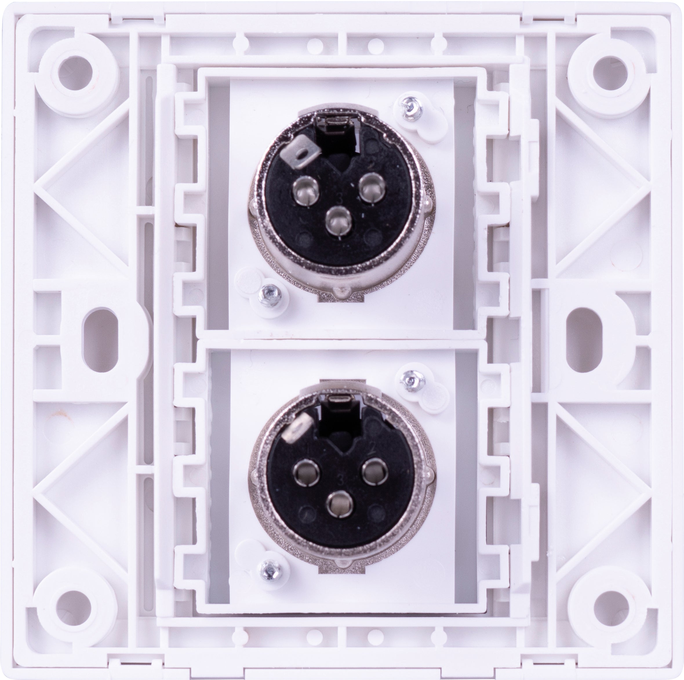 Eagle Dual Female XLR Wall Plate, 1 Gang, White/Silver | Audio Volt